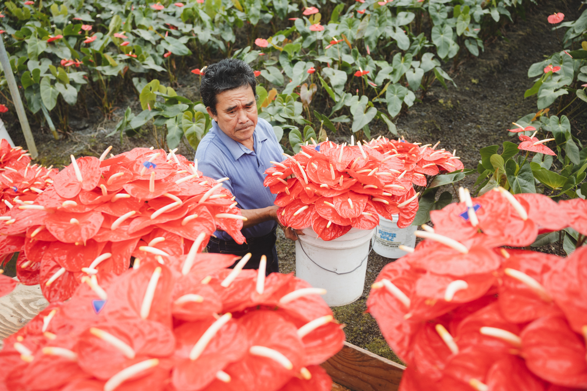 Built for Ag - American AgCredit