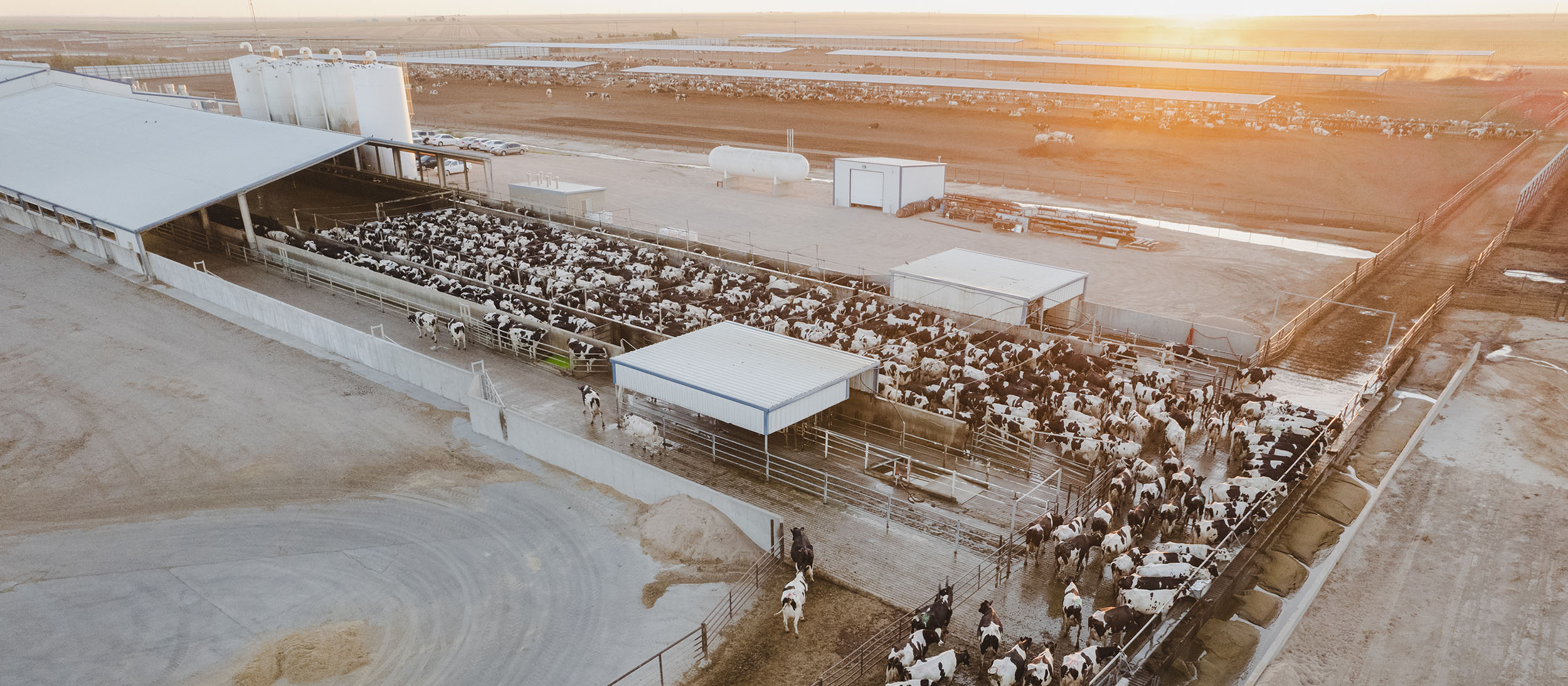 Making a Better Dairy from the Ground Up - American AgCredit