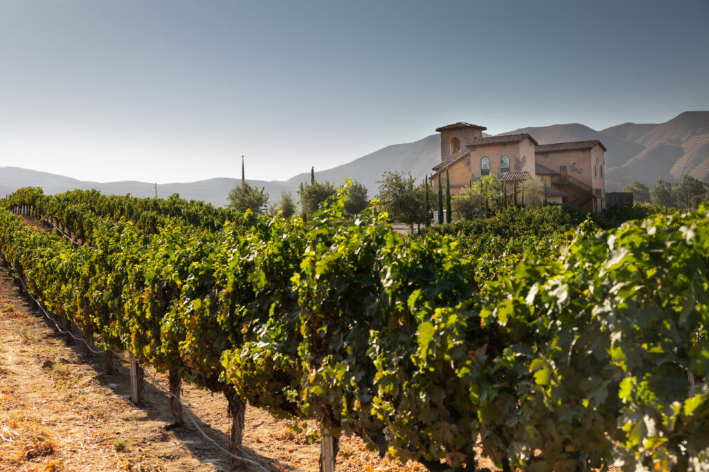 Robert Renzoni Vineyards - American AgCredit