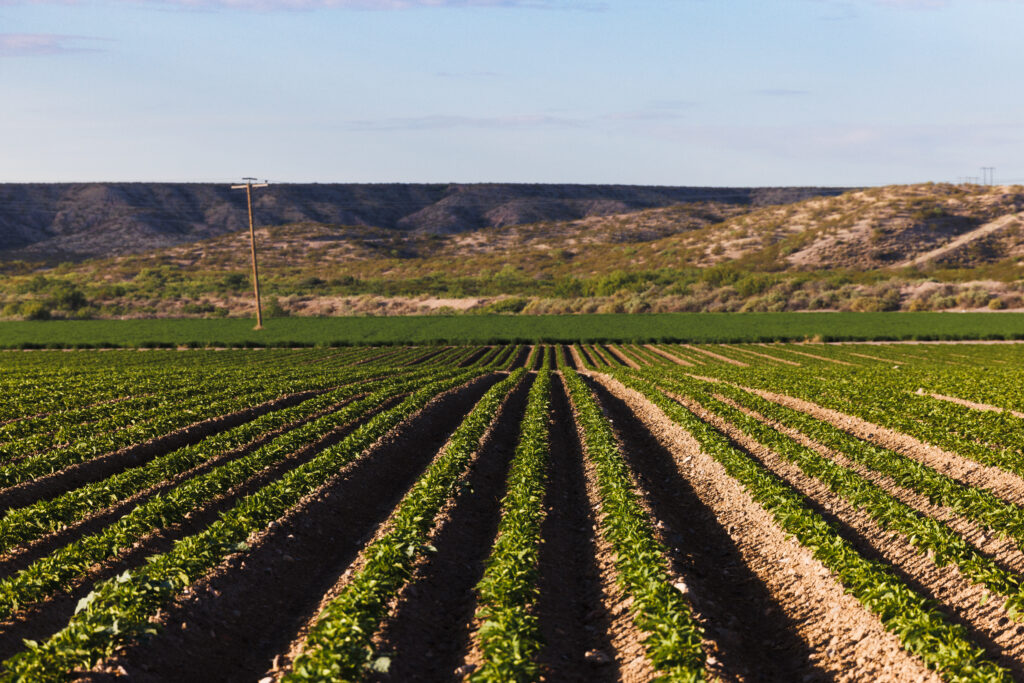 Gillis Farm - American AgCredit