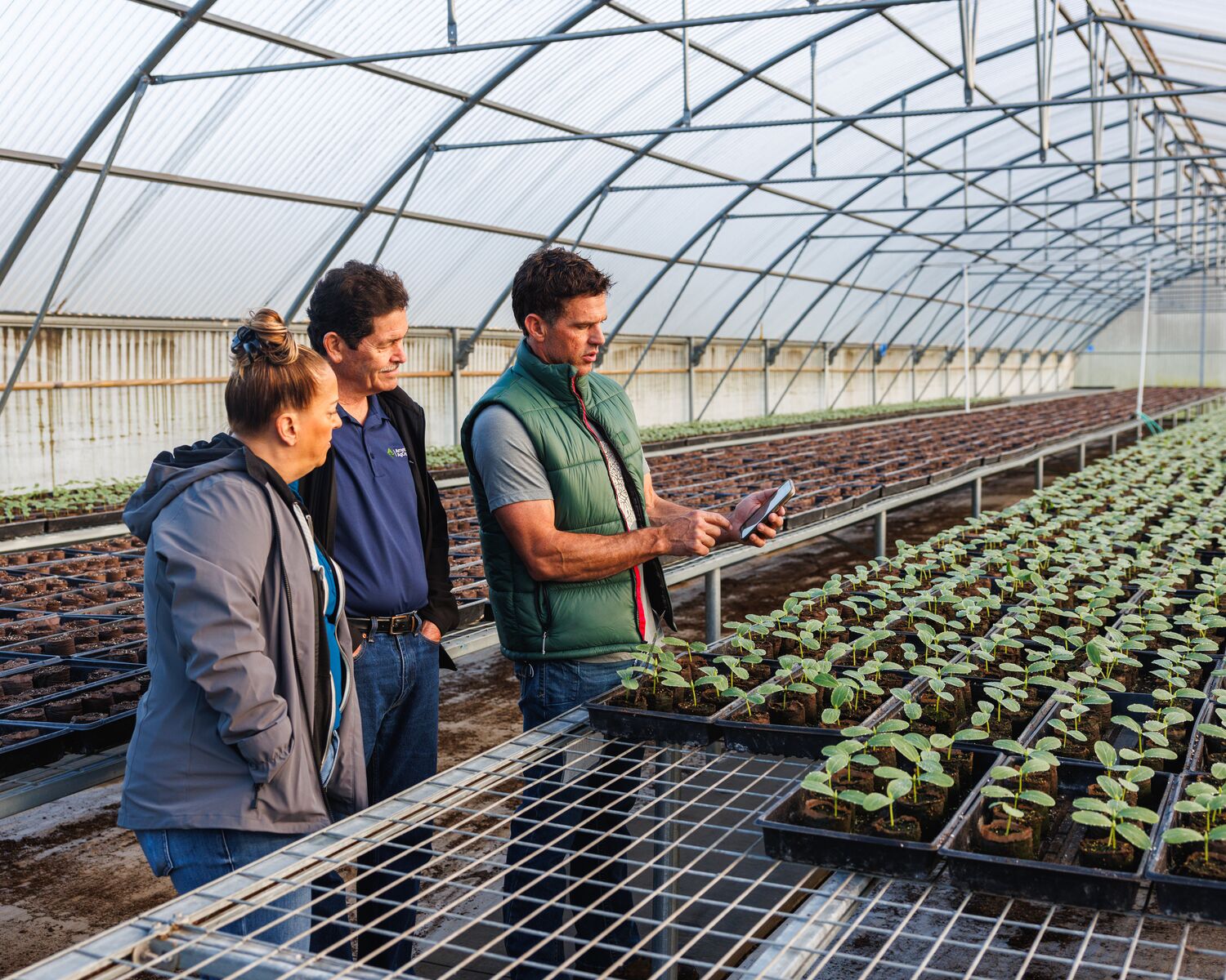 Food sustainability in Hawaii – Hawaii Farming, LLC - American AgCredit